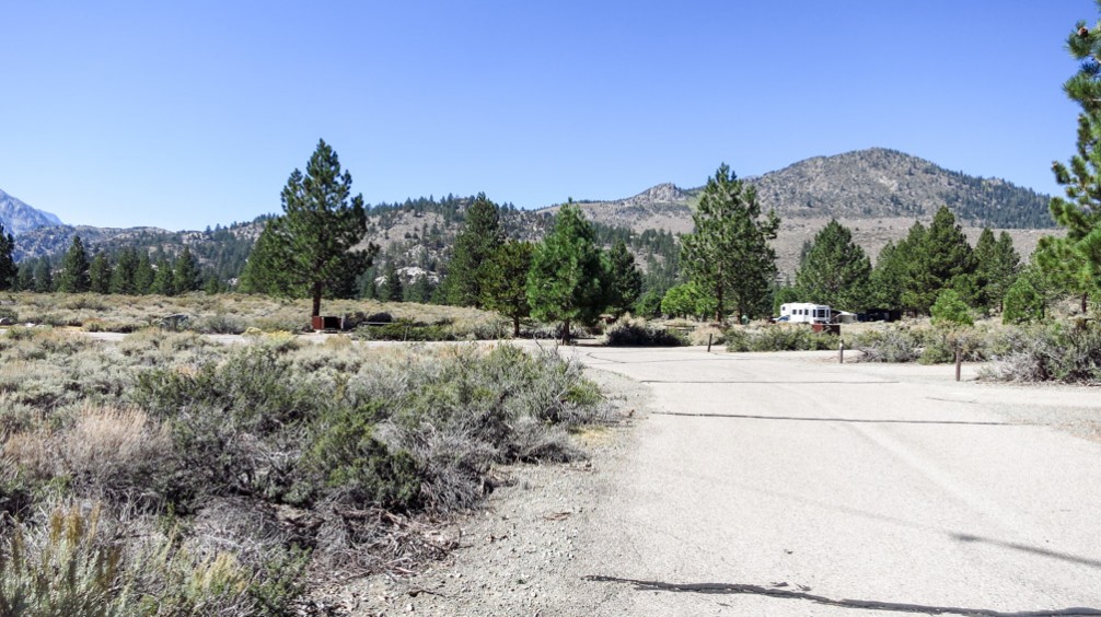 Oh Ridge Campground - 395 Guide