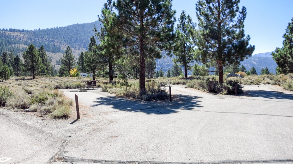 Oh Ridge Campground - 395 Guide