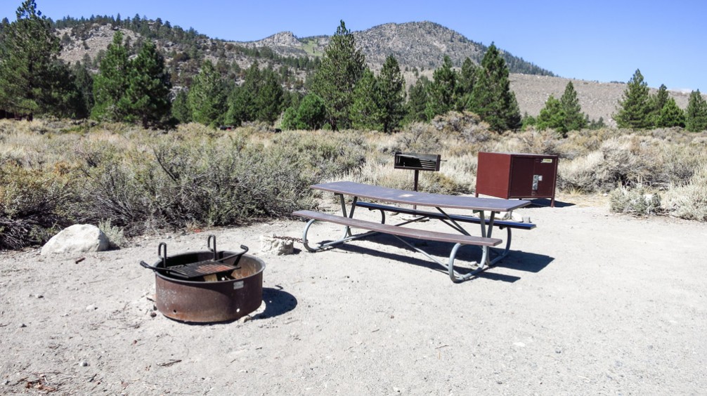 Oh Ridge Campground - 395 Guide