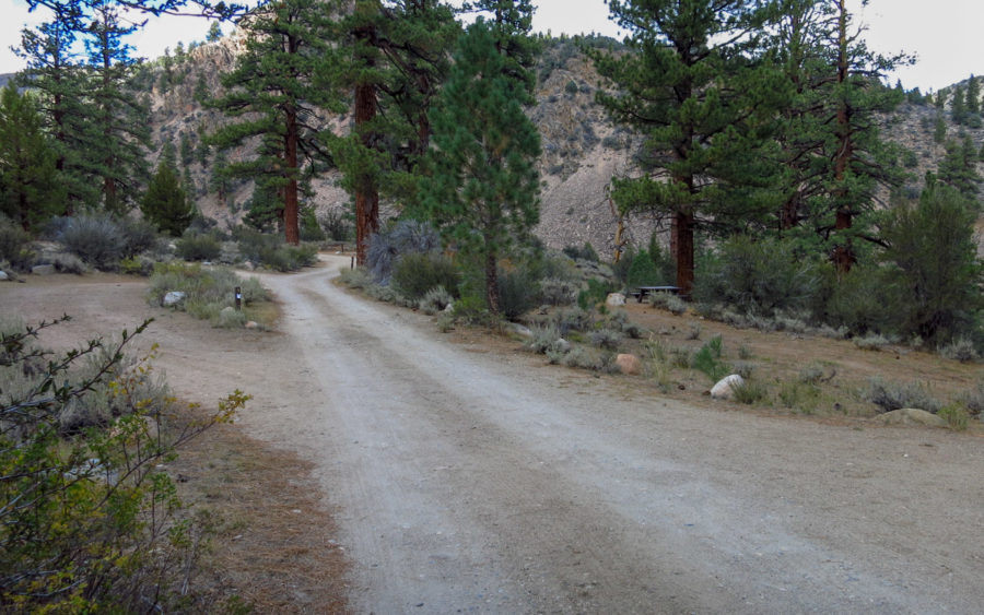 Sonora Bridge Campground - 395 Guide