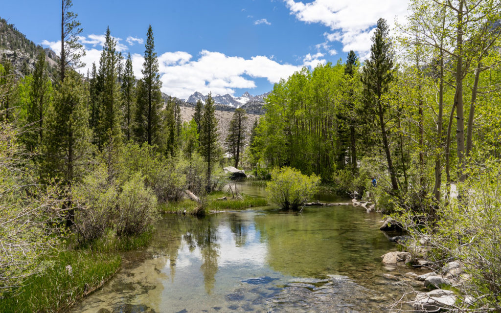 Bishop Creek - 395 Guide