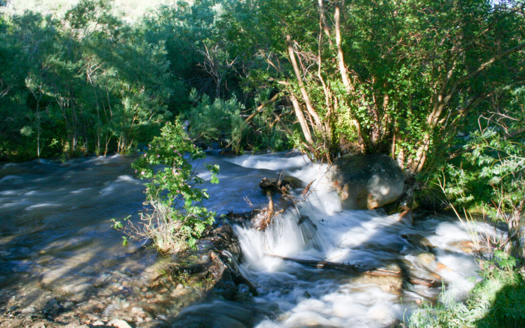 Independence Creek 395 Guide